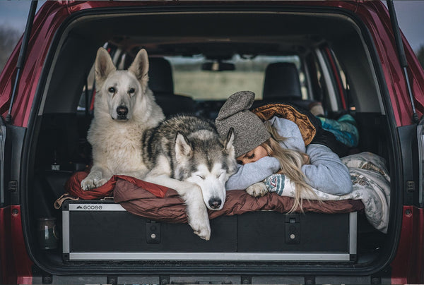 Locked Out Page – Goose Gear Wholesale